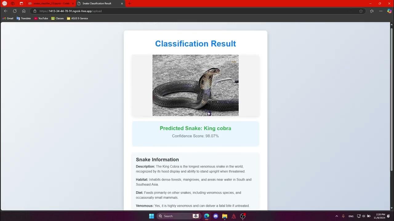 demo of Snake Classifier - YouTube
