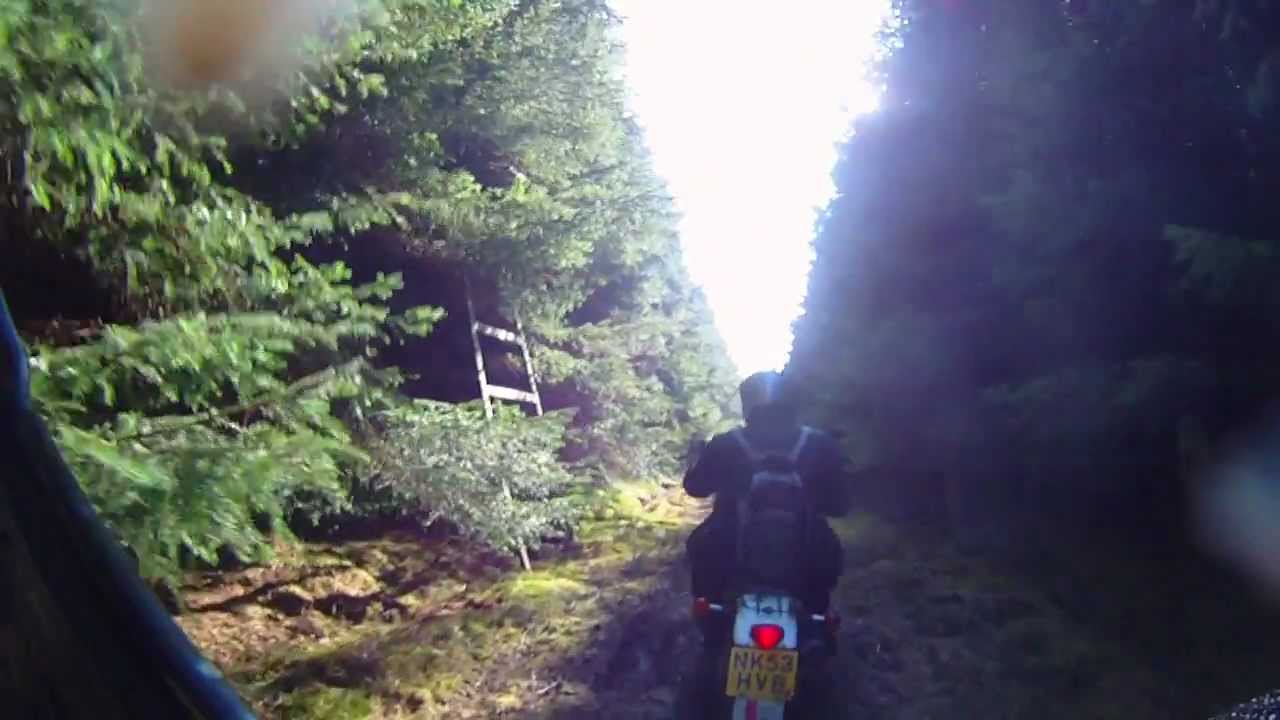 Slaley Forest [DRZ 400, VanVan 125] - Part 2 - YouTube