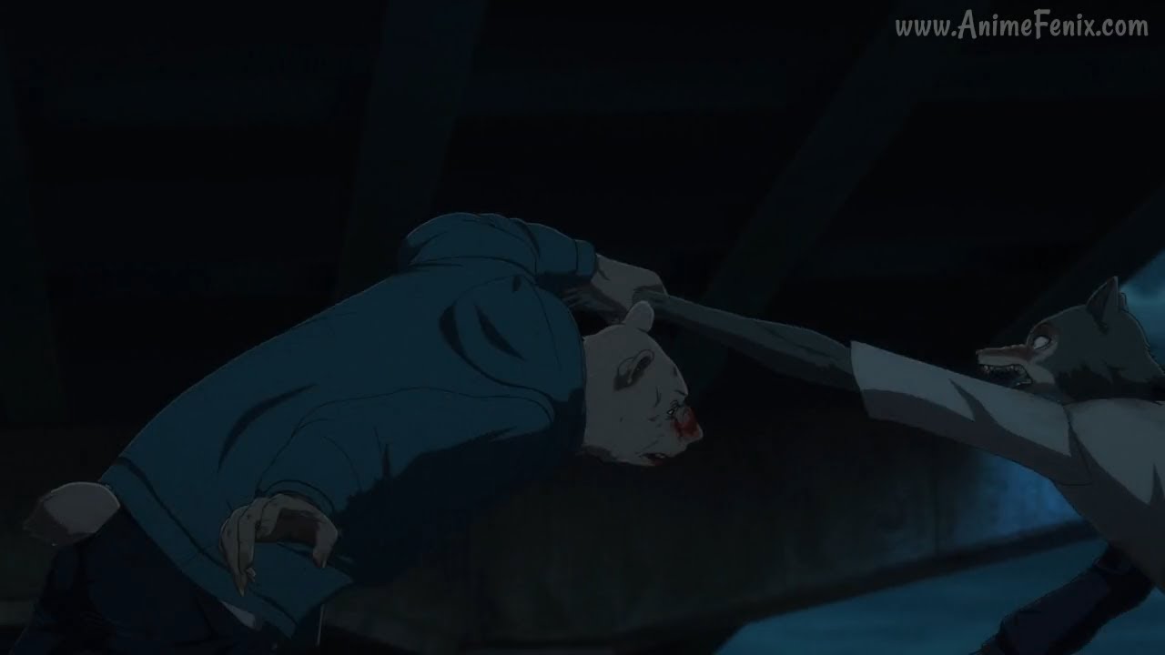 Legosi Vs Riz / Segunda Parte / Beastars / Temporada 2 Capitulo 12 Sub ...