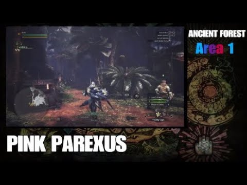 Monster Hunter: World - Pink Parexus Guide - YouTube