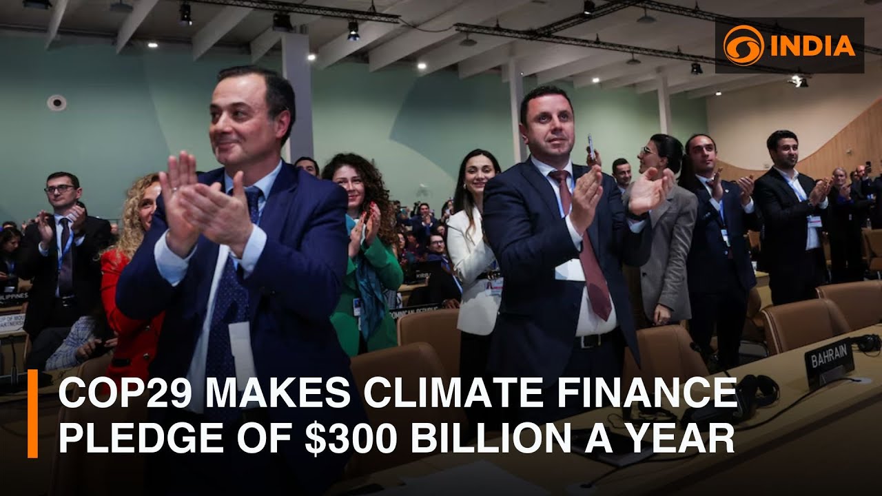 COP29 makes climate finance pledge of $300 billion for developing ...