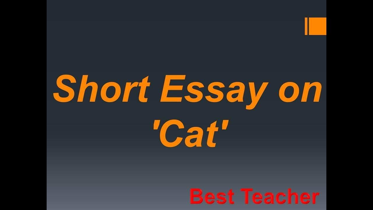 Short Essay On Cat | Short Story of Cat - Best Teacher - YouTube
