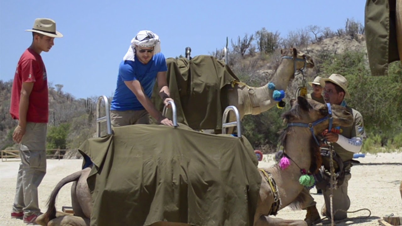 Hay #camellos en #México | Charlie Rubio - YouTube