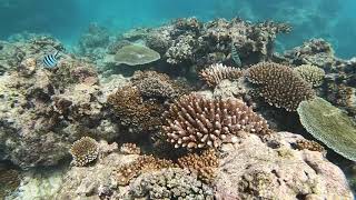 Monu Island - World Islands