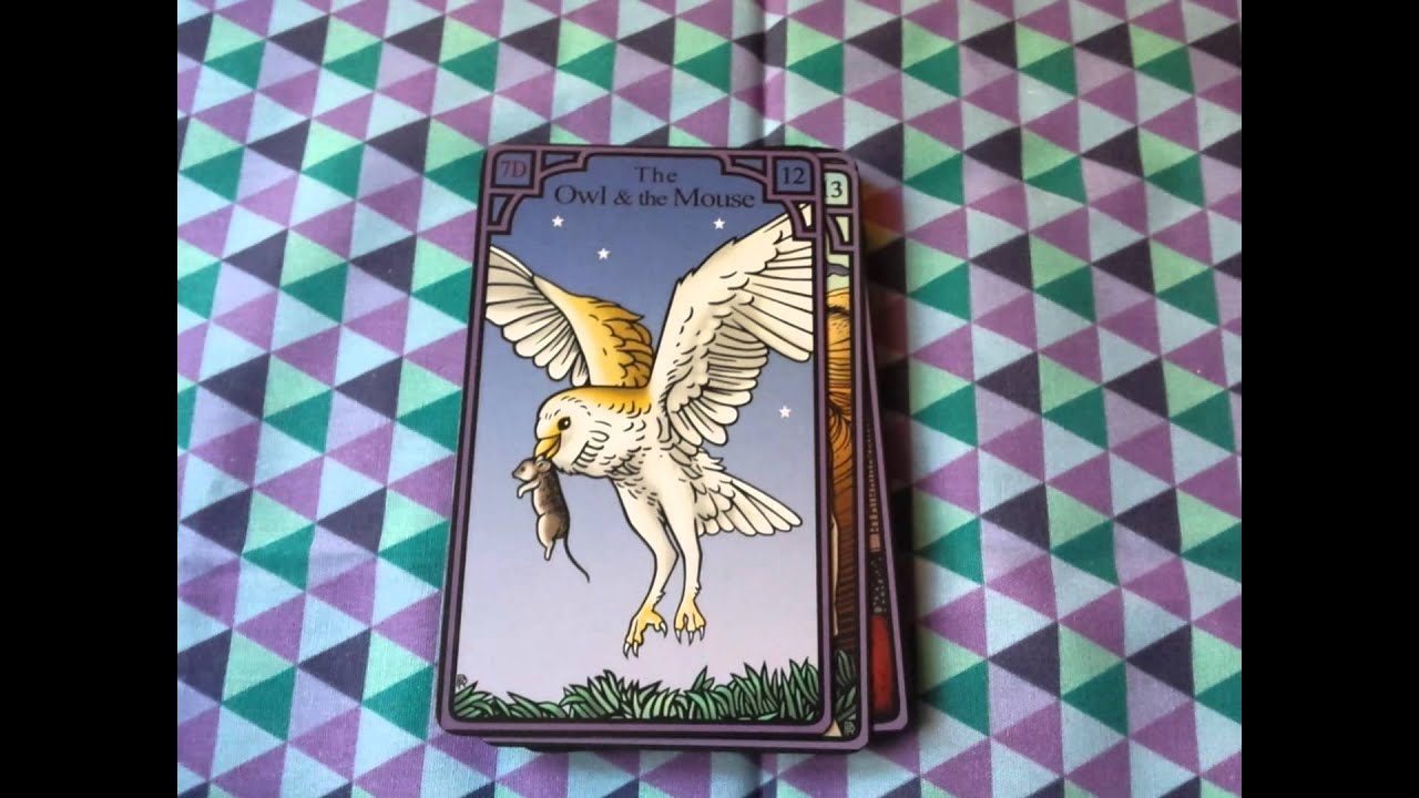 Burning Serpent Oracle flipthrough - YouTube