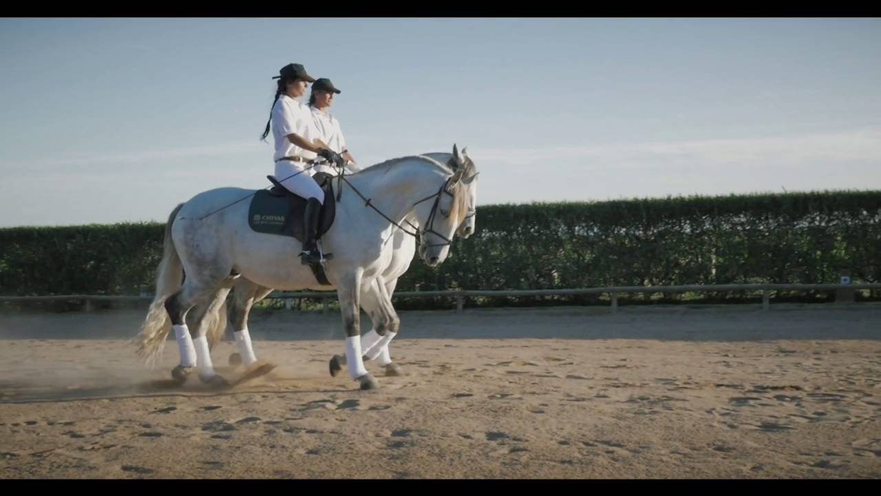 Arte Ecuestre - Haras Godiva - YouTube