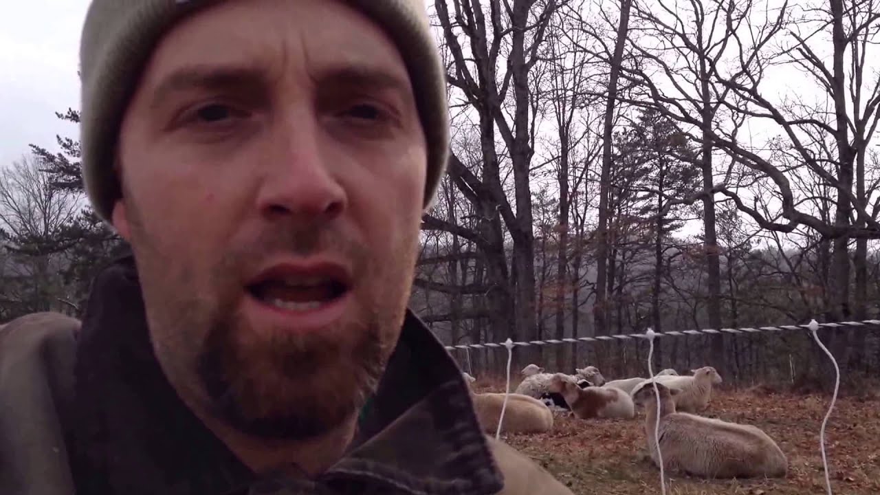 Farm Vlog episode 1: Grazing Our Sheep And Some Transparency - YouTube