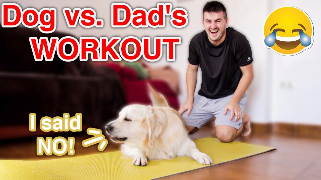 Dog vs. Dad's Workout | Funny Dog Bailey - YouTube