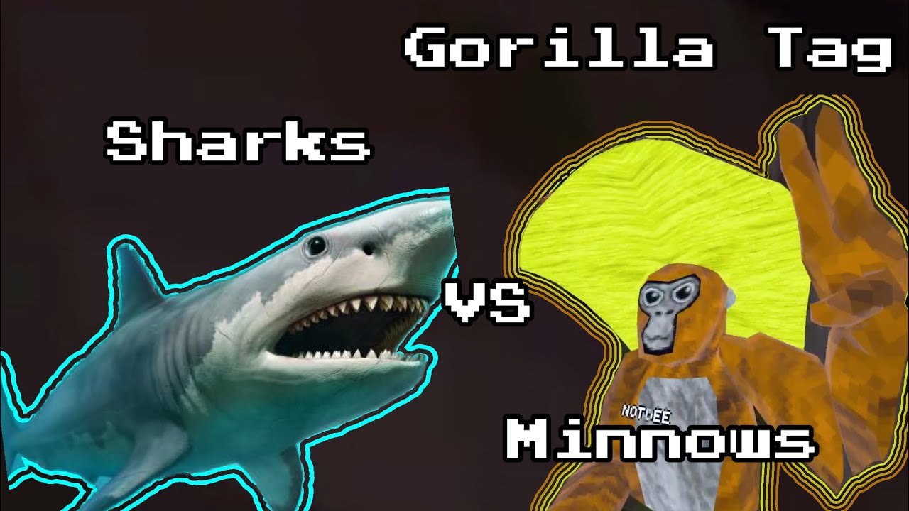 Sharks And Minnows Gameplay | Gorilla Tag VR - YouTube