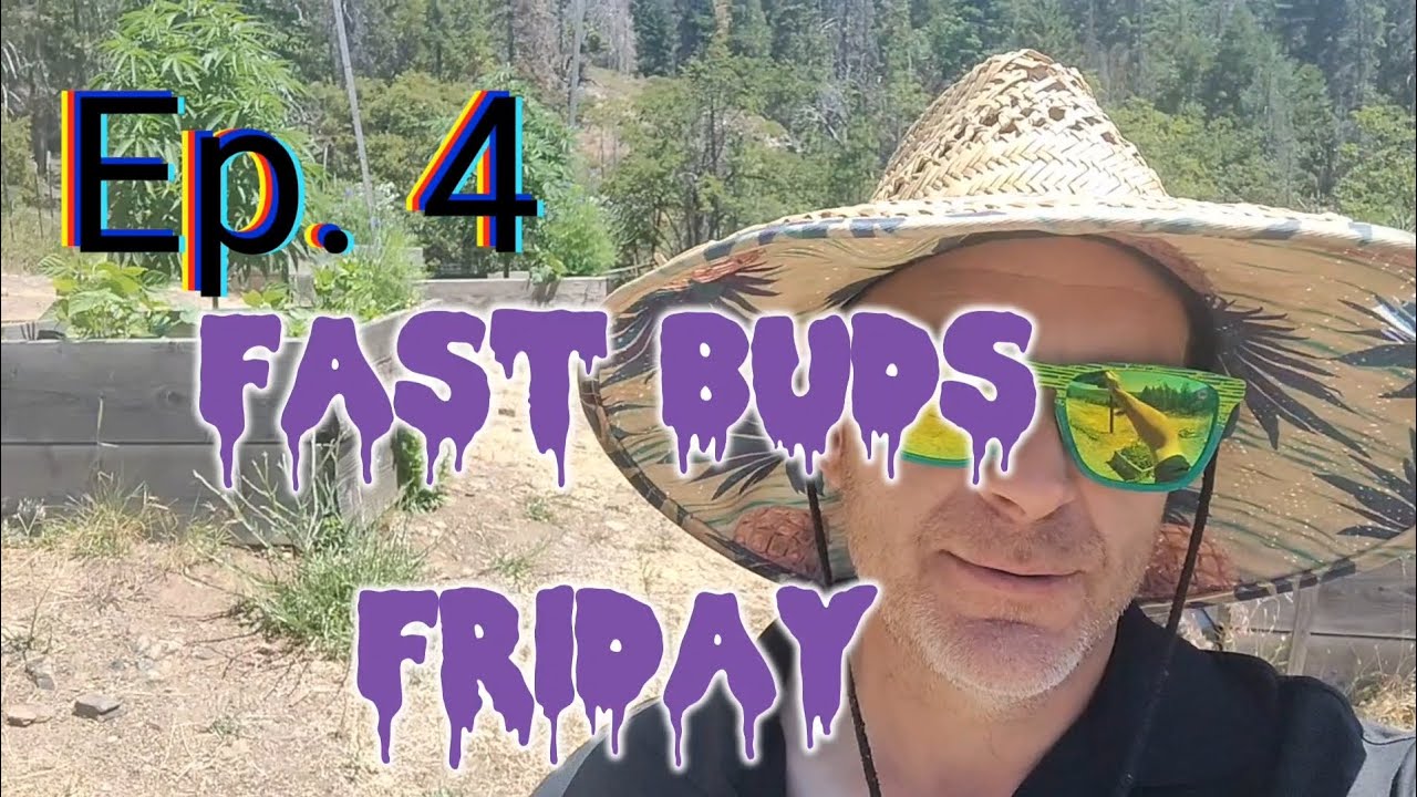 Fastbuds Friday! Strawberry Gorilla update #2 Cool Bean's Outdoor Grow ...