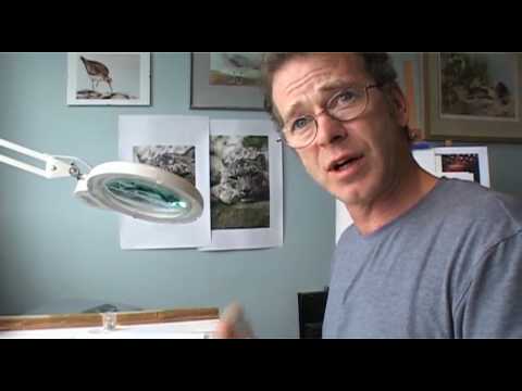 Wildlife Artist Nick Day - YouTube