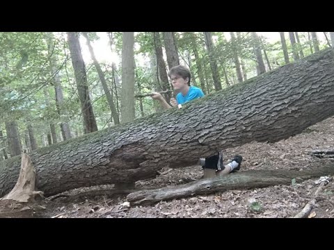when a kid finds an L shaped stick - YouTube