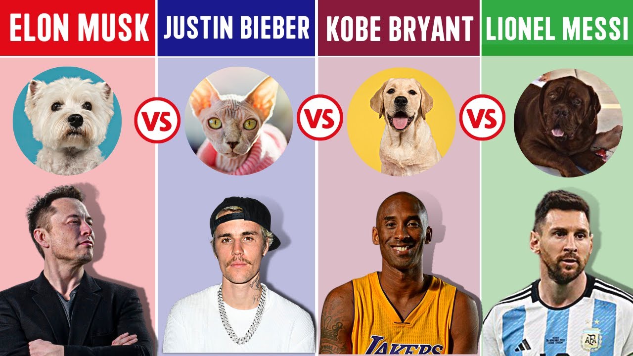Famous People And Their Pets - YouTube