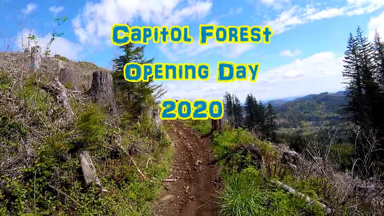 Capitol Forest Long Loop - YouTube
