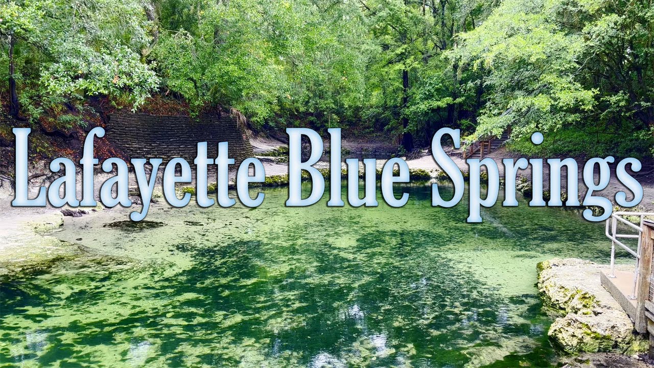 Diving Lafayette Blue Springs on the Suwannee River - YouTube
