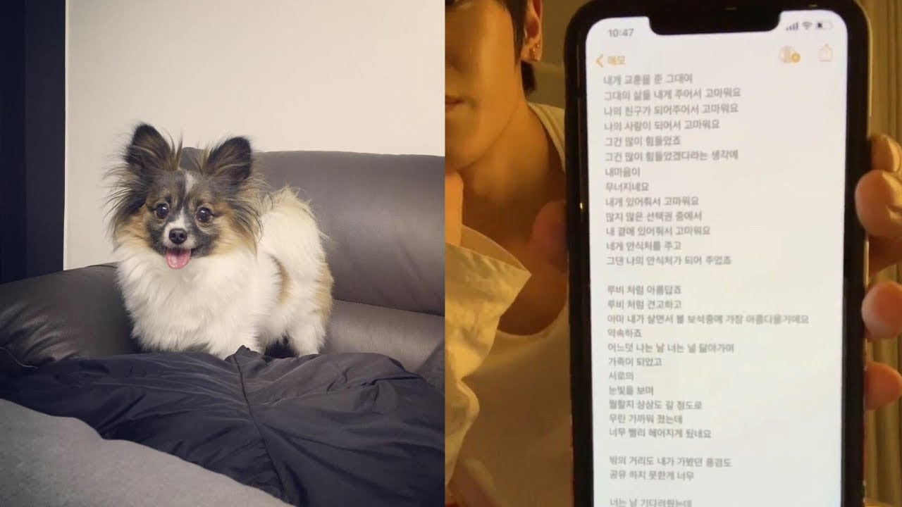 {𝐌𝐮𝐬𝐭 𝐖𝐚𝐭𝐜𝐡} How much Taeyong loves Ruby - 태용의 삶에서 루비의 중요성 - YouTube