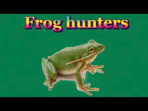 Frog hunters - YouTube