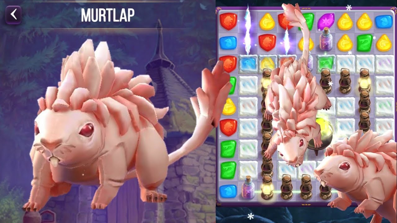 MURTLAP (เมิร์ตแลป) - Magical Creatures || Harry Potter: Puzzles ...