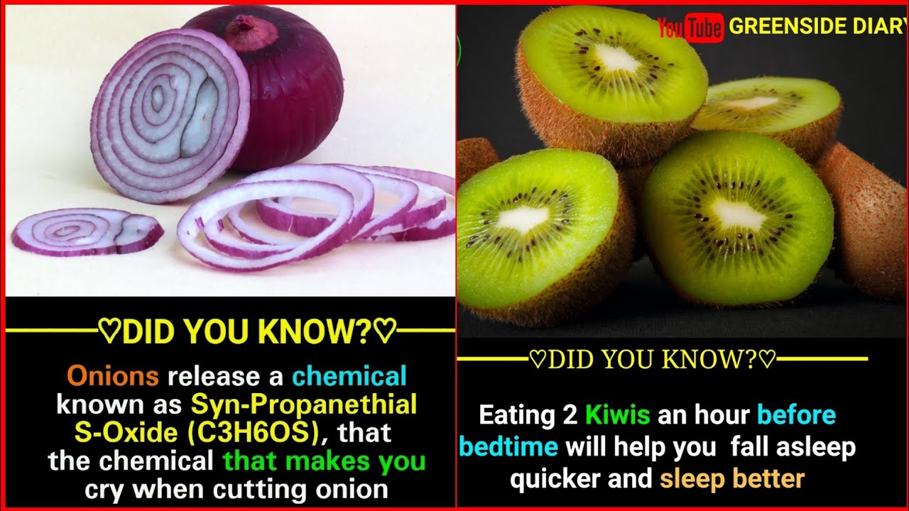 50 VEGETABLES🥦 AND FRUITS🍓 FACTS| Vegetables | Fruits| Herbs| Facts #3 ...
