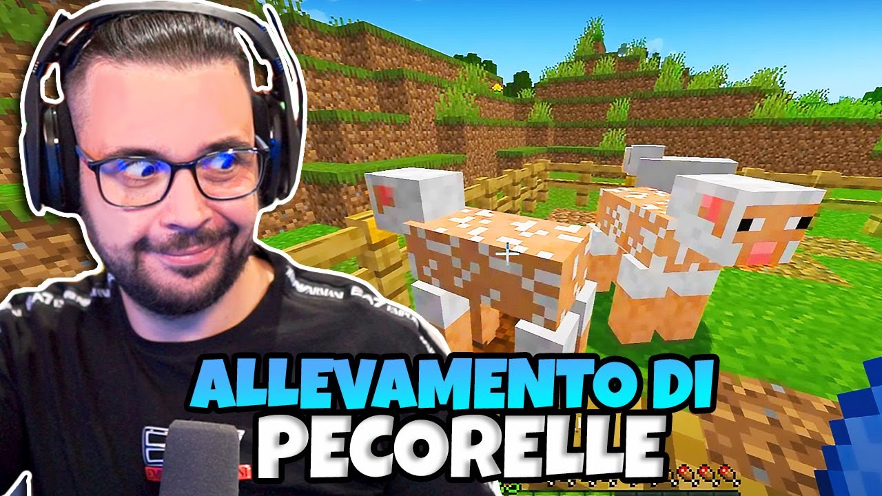 Allevamento di Pecore sia - MINECRAFT - YouTube