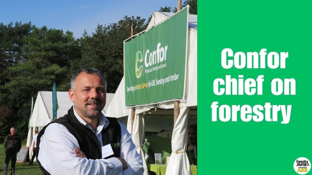 Forestry chief on the need to put timber back at the heart of UK's ...