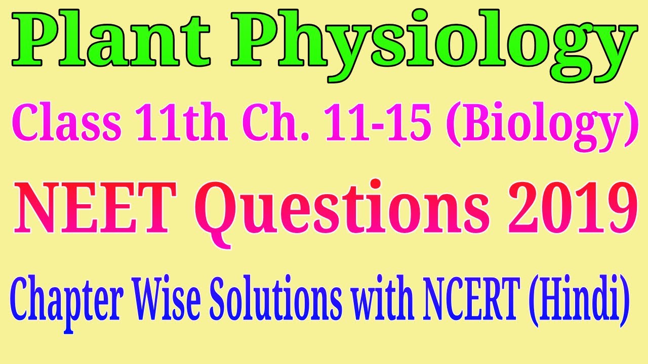Plant Physiology Class 11 NEET 2019 Questions Chapter Wise YouTube plant-physiology-class-11-neet-2019-questions-chapter-wise-youtube