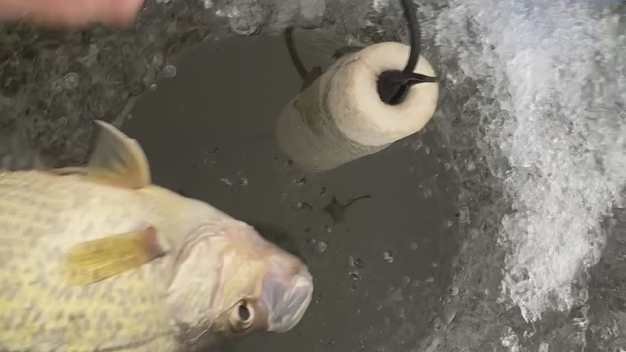 First Ice-Crappies on the feedbag! - YouTube