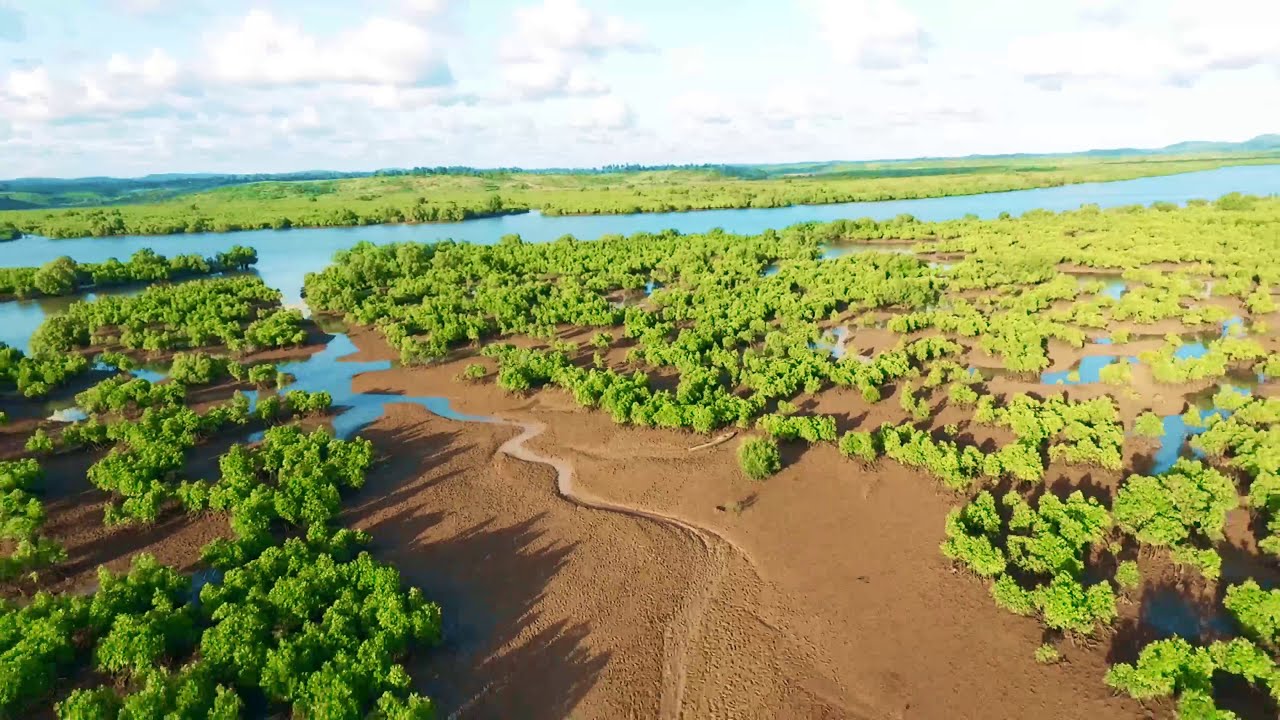 Sea shore / mkono wa bahari aerial footages - YouTube