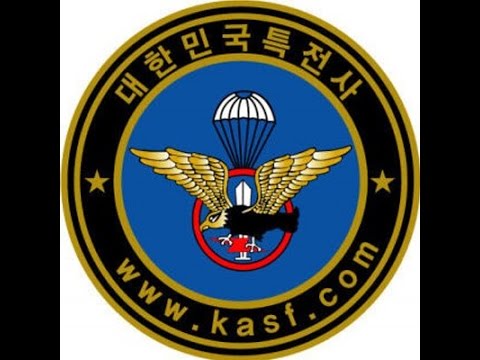 Republic of Korea UDT SEAL anti piracy & provide training for UAE - YouTube
