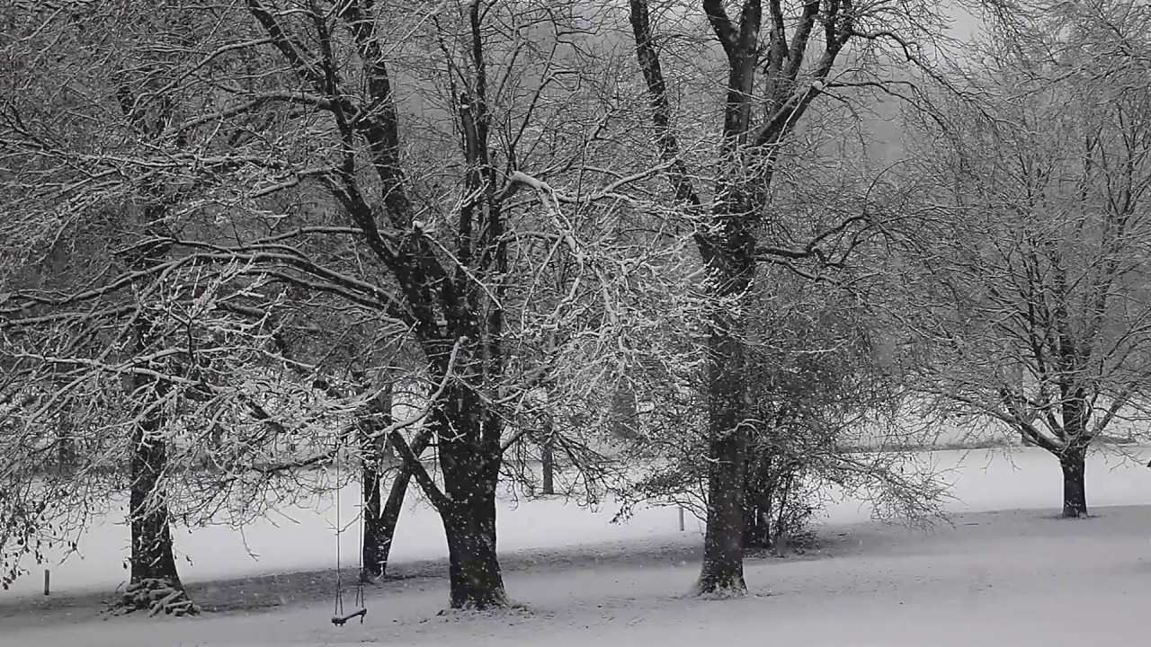 HD Snow Falling 7 minutes - YouTube