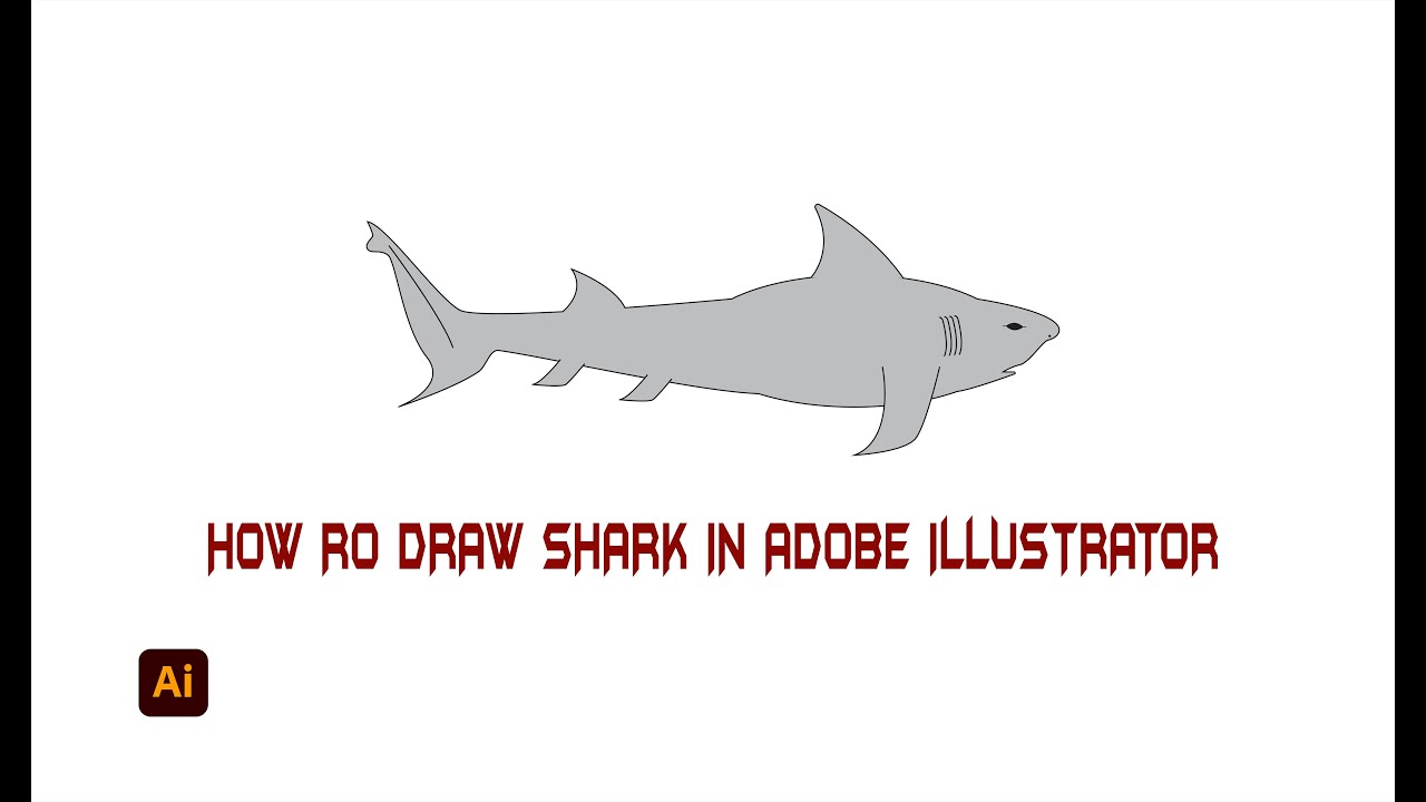 How to draw a shark in adobe illustrator - YouTube