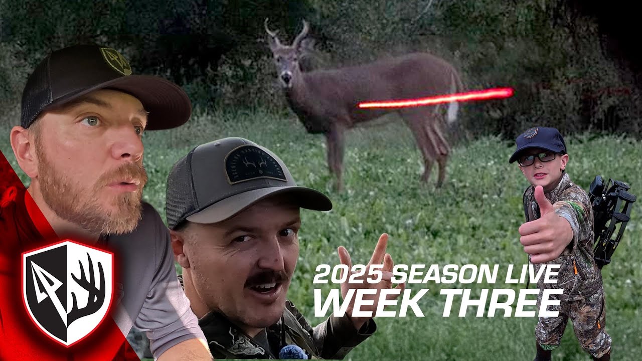 Shot Fired! Week 3 Bowhunting Update - YouTube