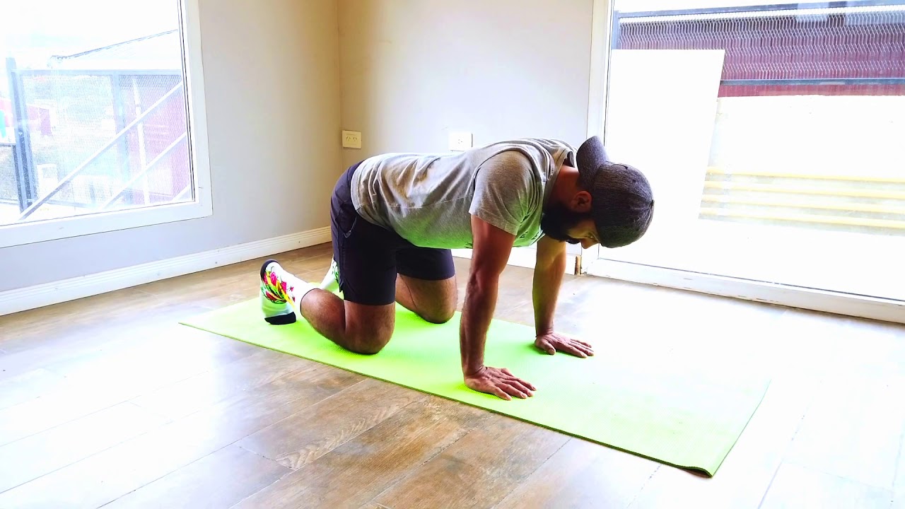 Movilidad escapular en cuadrupedia - YouTube