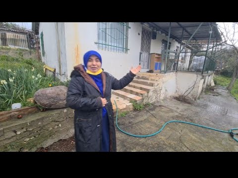 Kavak ağacı gibi tüm emeklerim israf oldu İzmir bahçe moralim bozuldu ağaç yoksa tarla birşeydeğil