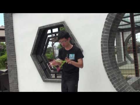 Wings Wei Xinyu -- Inschina
