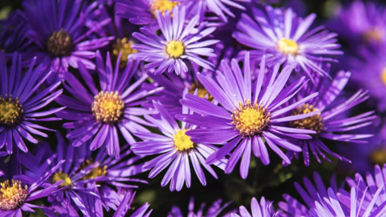 Lets connect and chat Drop your links - YouTube