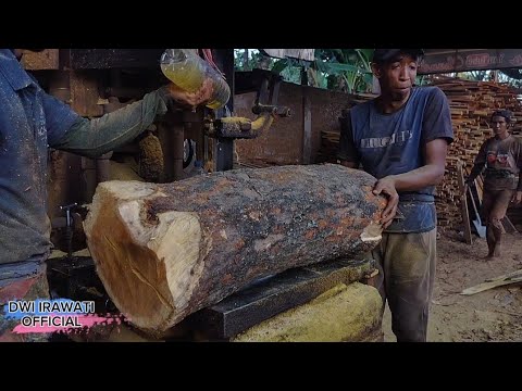 What is found in jackfruit wood when it is sawn in a wood processing ...