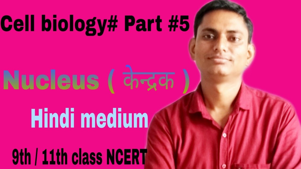Nucleus || केन्द्रक || cell biology || 9th and11th class NCERT || 9th ...
