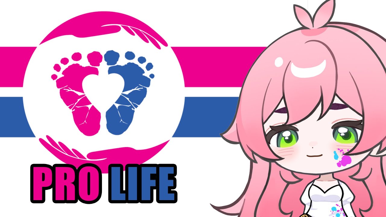 【PRO LIFE CHARITY】Life begins at conception! Pro-Life Christians Game ...