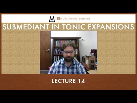Lecture 14 - Submediant in Tonic Expansions (Music Theory Series) - YouTube