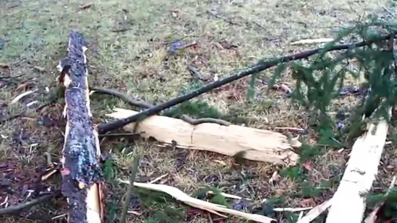 Lightning Strike on Pine Tree 2015 - YouTube