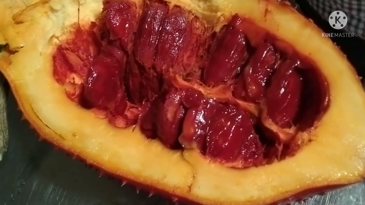 Buah menggoda - YouTube