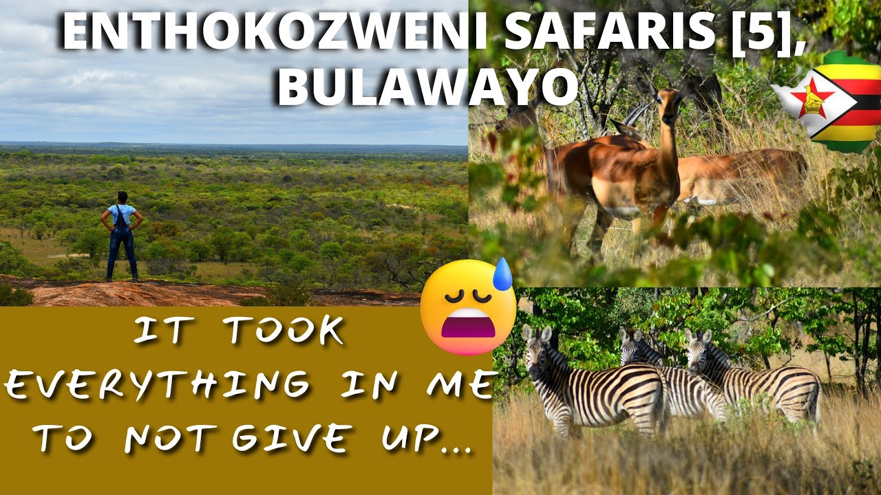 Ep23|S1| The final Game drive in Enthokozweni Safaris, Bulawayo ...