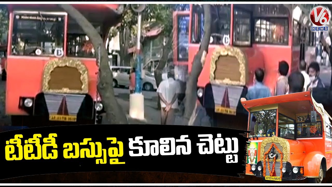 Tree Falls On TTD Bus At Temple | Tirumala Tirupati Temple | V6 News ...