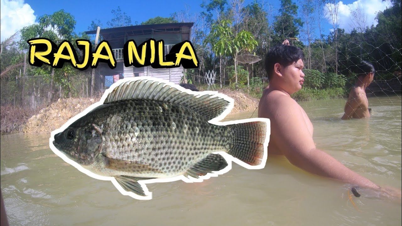 Mukat Ikan Ju..!!! - YouTube