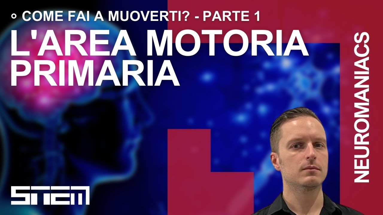 Come fai a muoverti? Pt. 1: muscoli, midollo spinale e Area Motoria ...