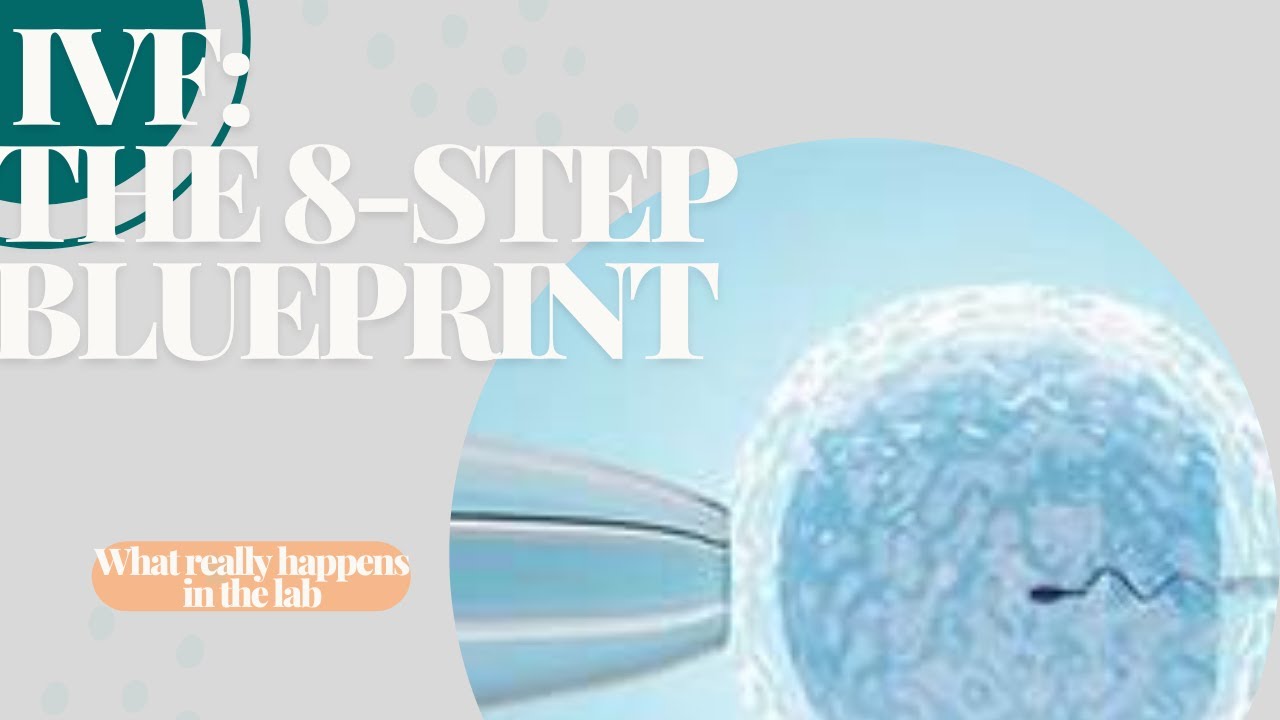 IVF Explained: What Actually Happens in the Lab? - YouTube