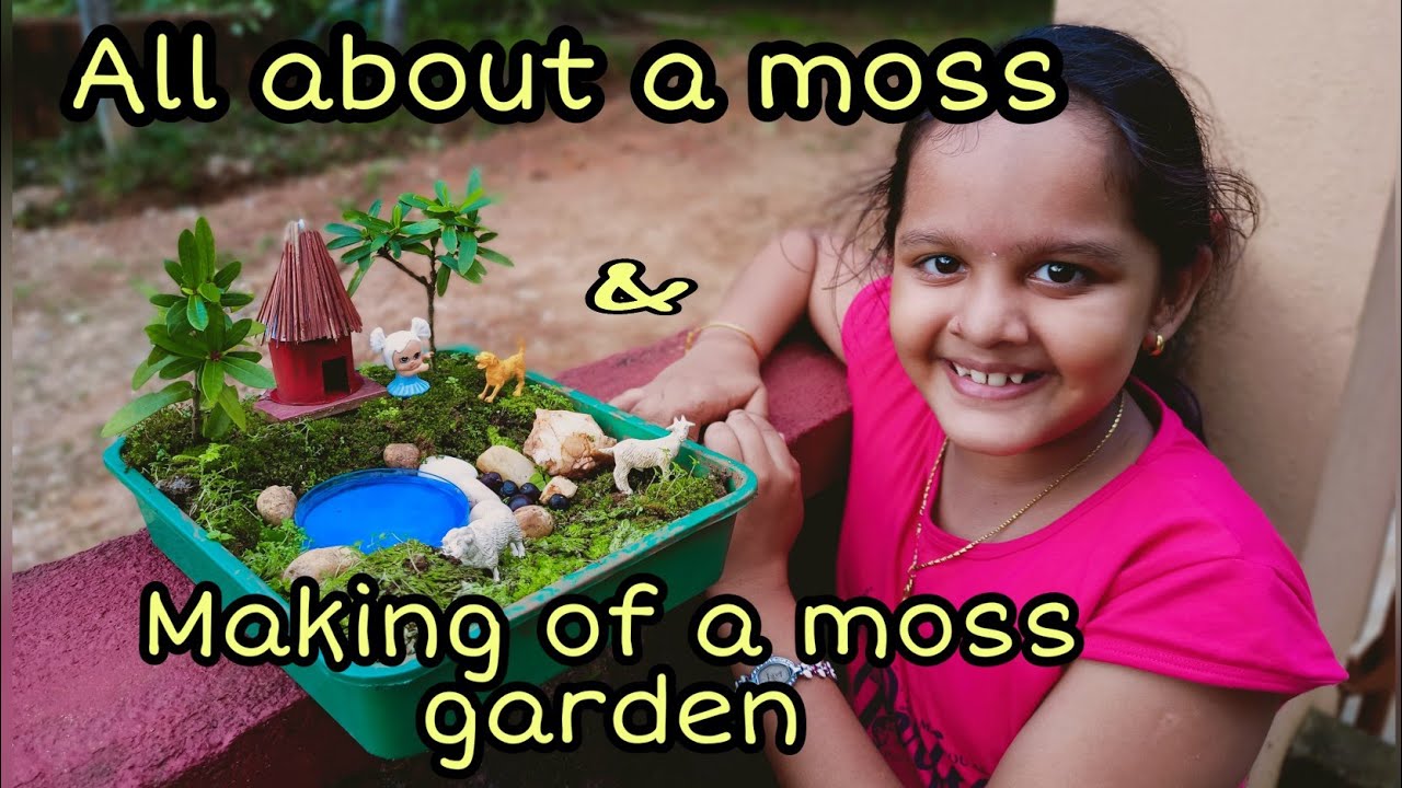What are mosses? Explained for kids and making of a beautiful moss ...