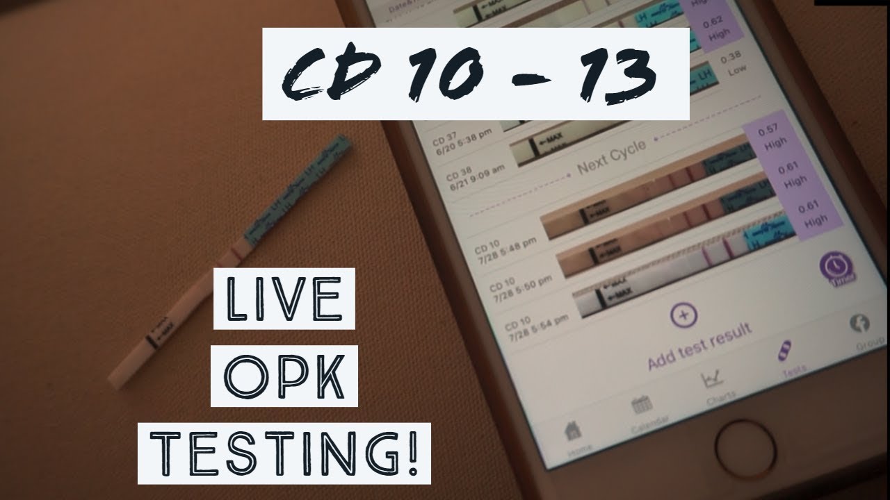 Live OPK Testing || CD 10-13 || Ovulation is Coming!?! - YouTube
