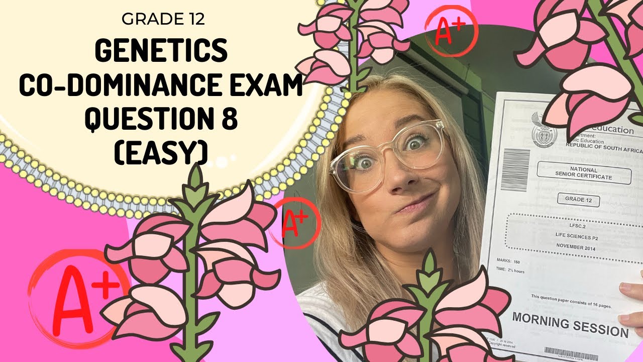 Genetics Question 8 on Co-Dominance (EASY) - YouTube